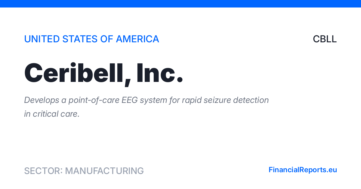 Ceribell, Inc. | Investor Relations / Filings / Financial statement