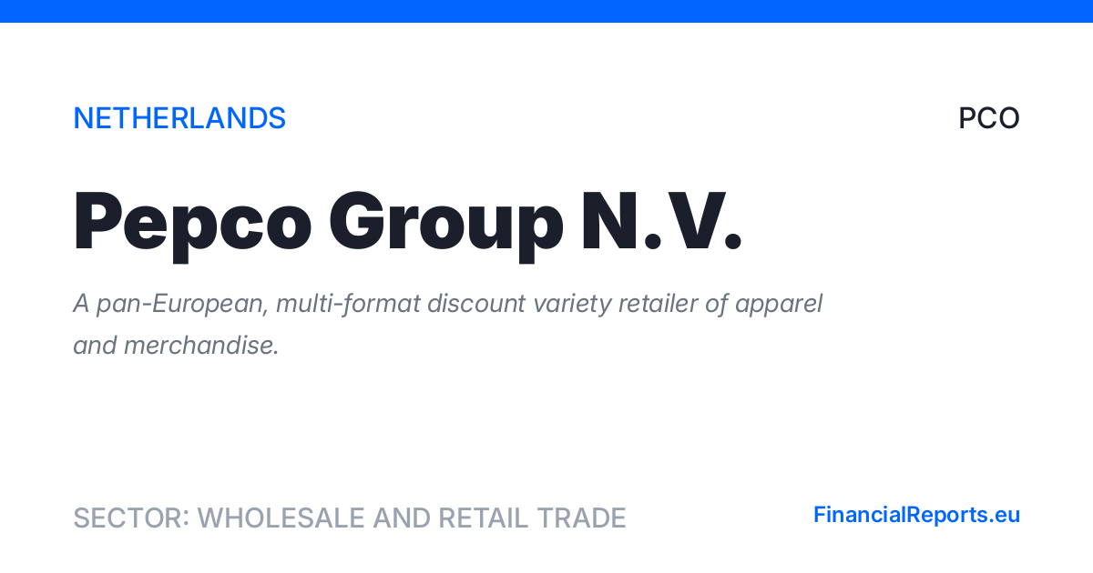 Pepco Group N.V. | Investor Relations / Filings / Financial statement